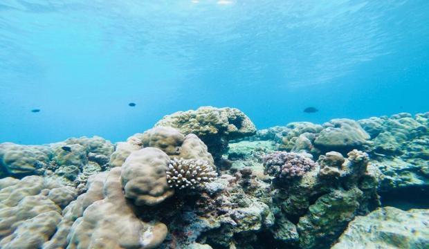 Tide of Progress: Blue Transition Bond Turns One